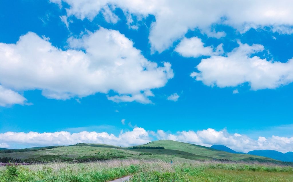 - STAFF - - まれ家 -MAREYA-